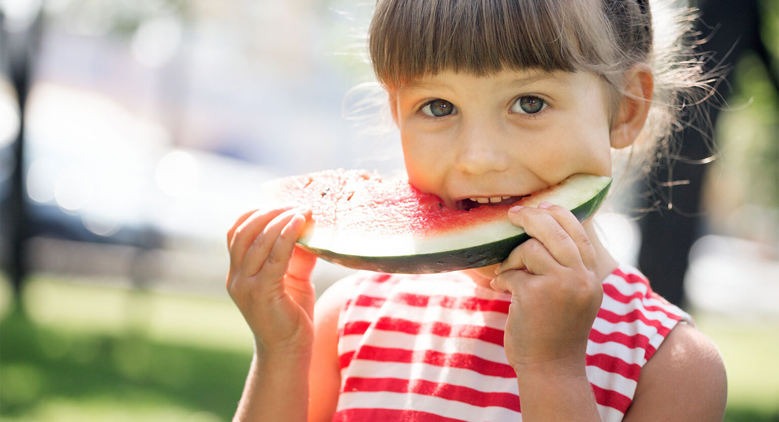 Os 5 principais alimentos ricos em água, confira! | It's Cool